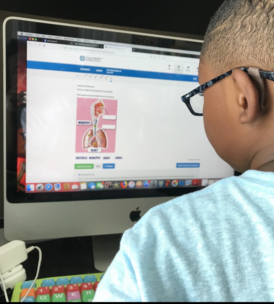 Calvert Homeschool Online Review! – Little Learner and Mom