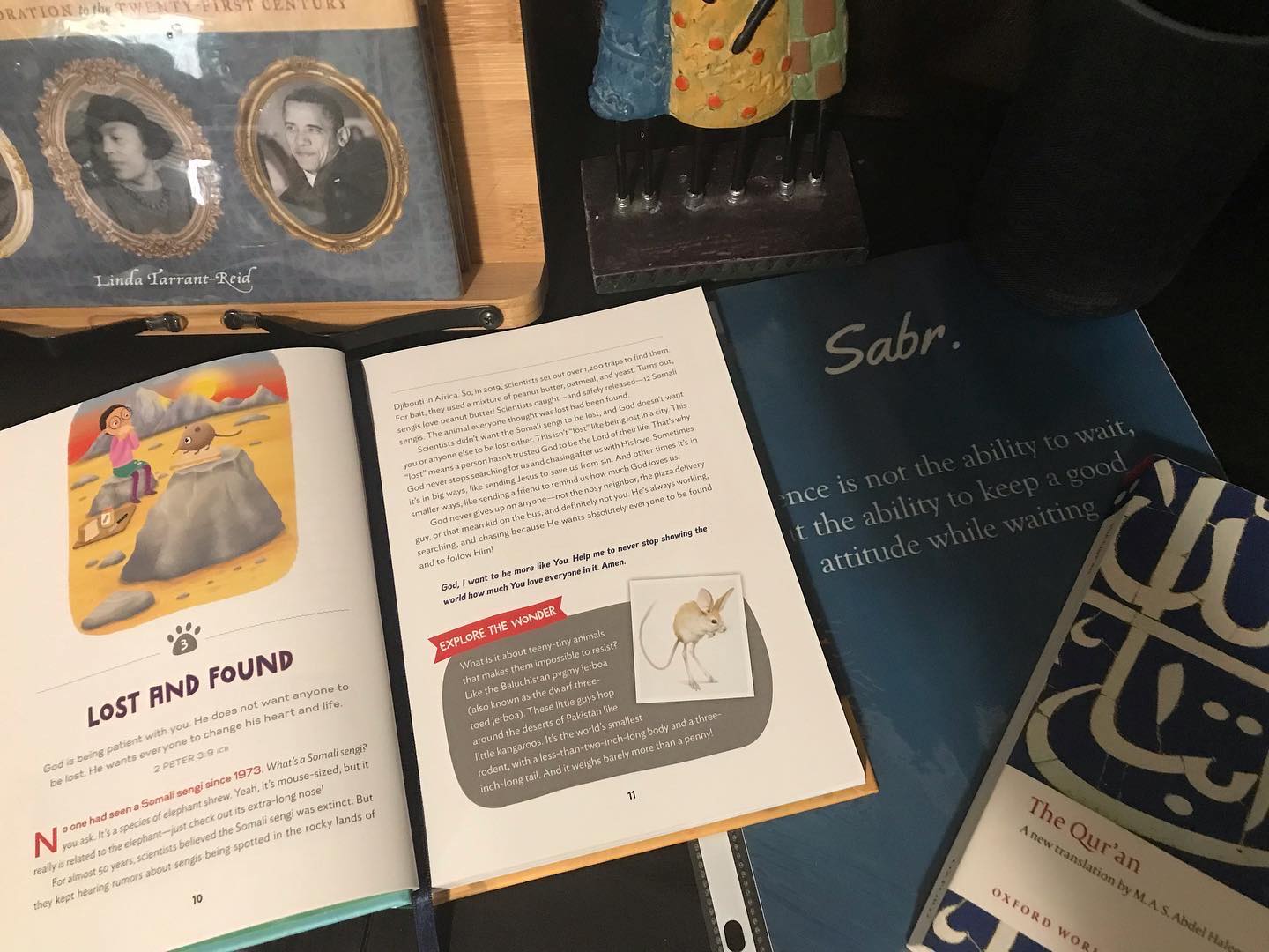 Indescribable Kids: The Wonder of Creation: 100 More Devotions About ...