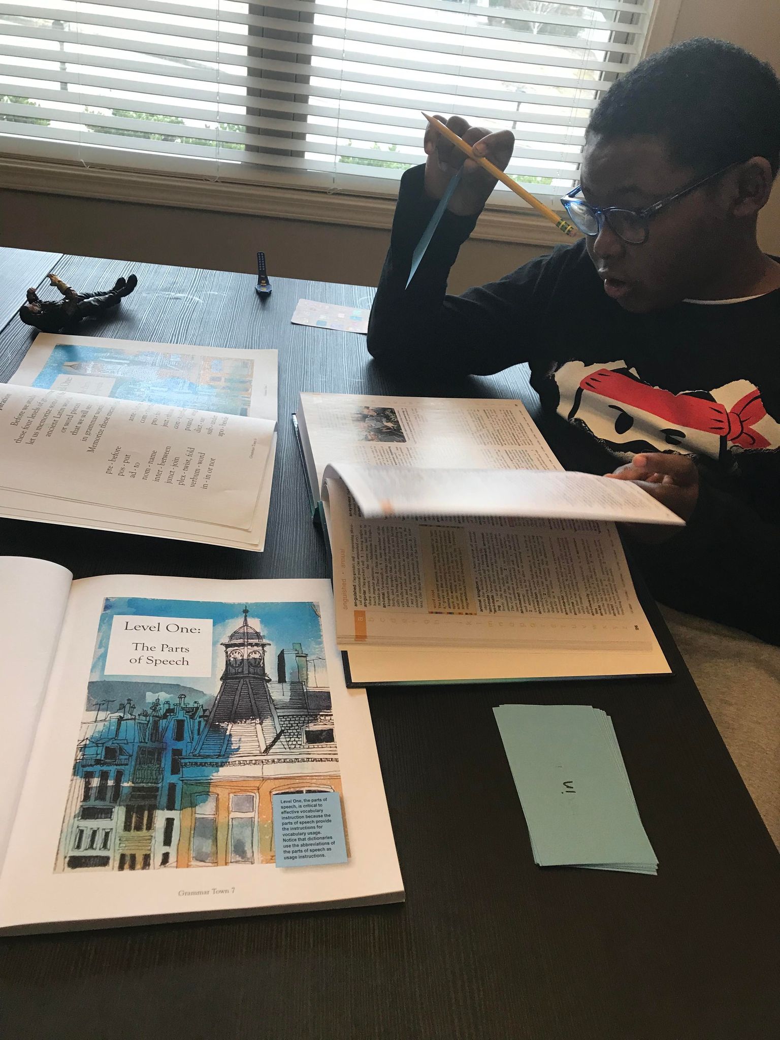 Michael Clay Thompson Language Arts: Level 2 Grammar Town Review ...