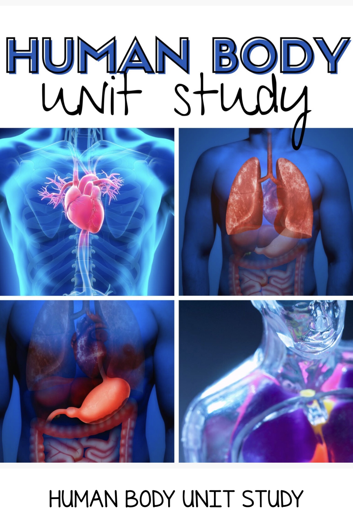The Waldock Way Human Body Unit Review! – Little Learner and Mom