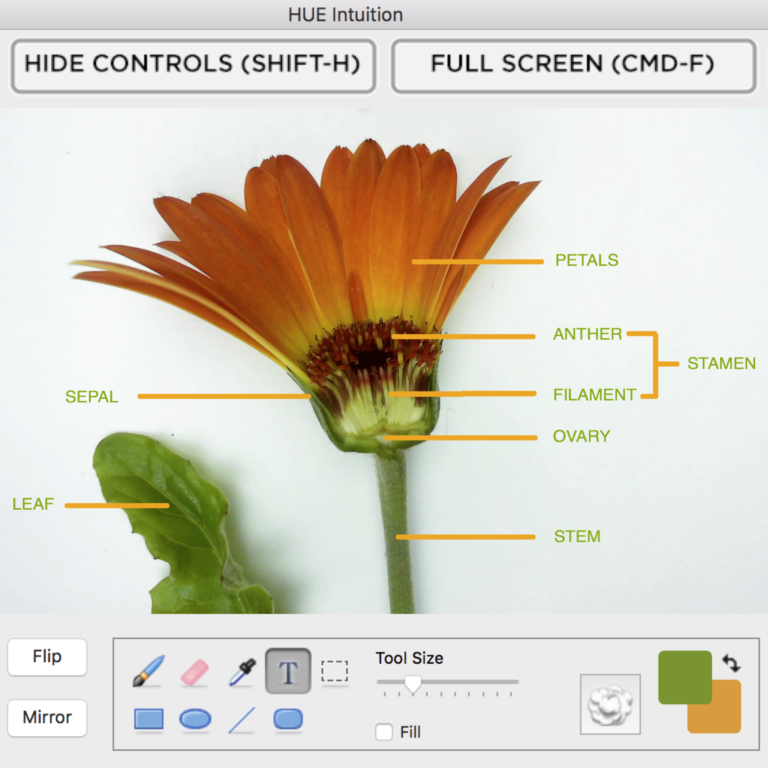 HUE HD Pro Camera Review! – Little Learner and Mom