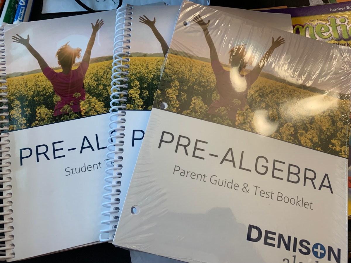 Denison Math Pre-Algebra Review: Reigniting My Son’s Love for Math ...