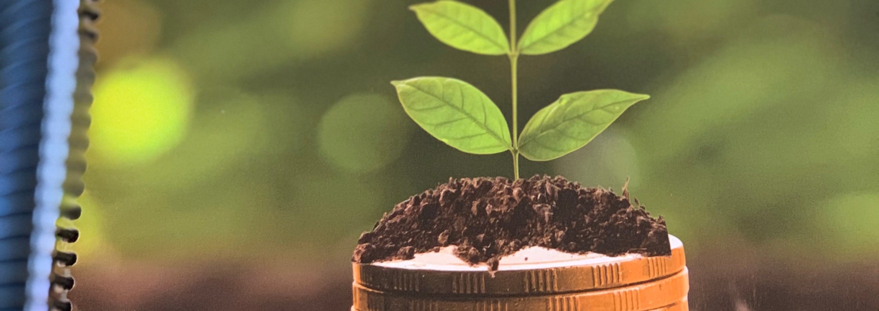 Mastering Money Matters with Beyond Personal Finance – Online Edition ...