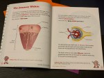 Empowering Future Doctors: A Review of the Know Your Body 3-Book Bundle ...